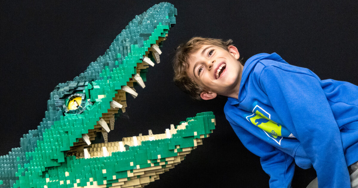 Brickosaurs Evolution presented by BRICKLIVE | ICC Wales